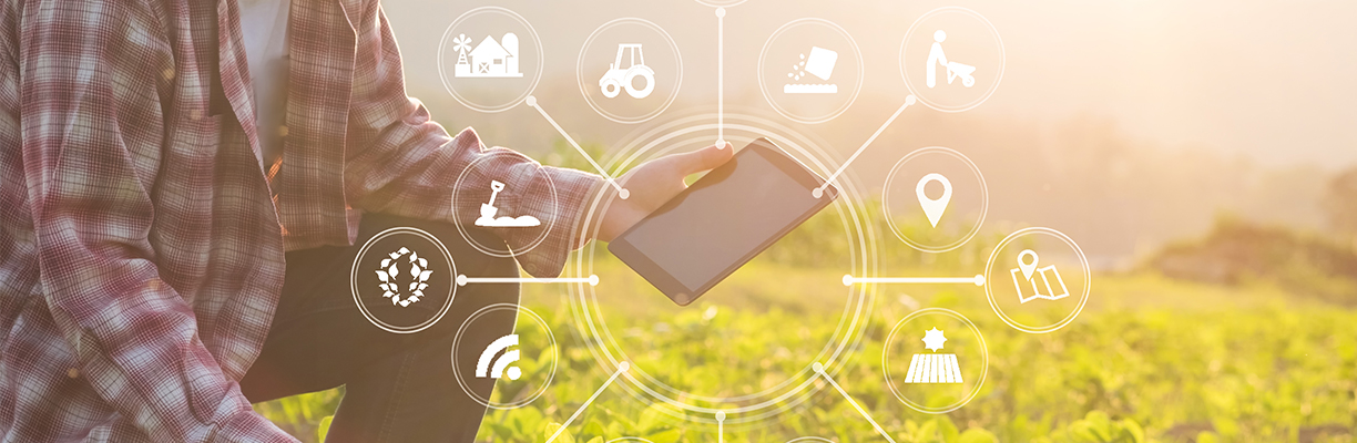 AI sensors to make farming smarter