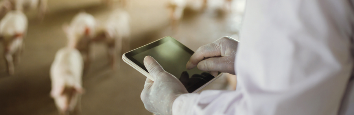 Ai For Livestock Management