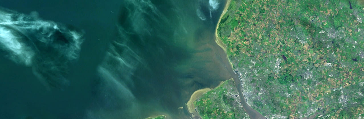 Using AI and satellite imagery for environmental conservation