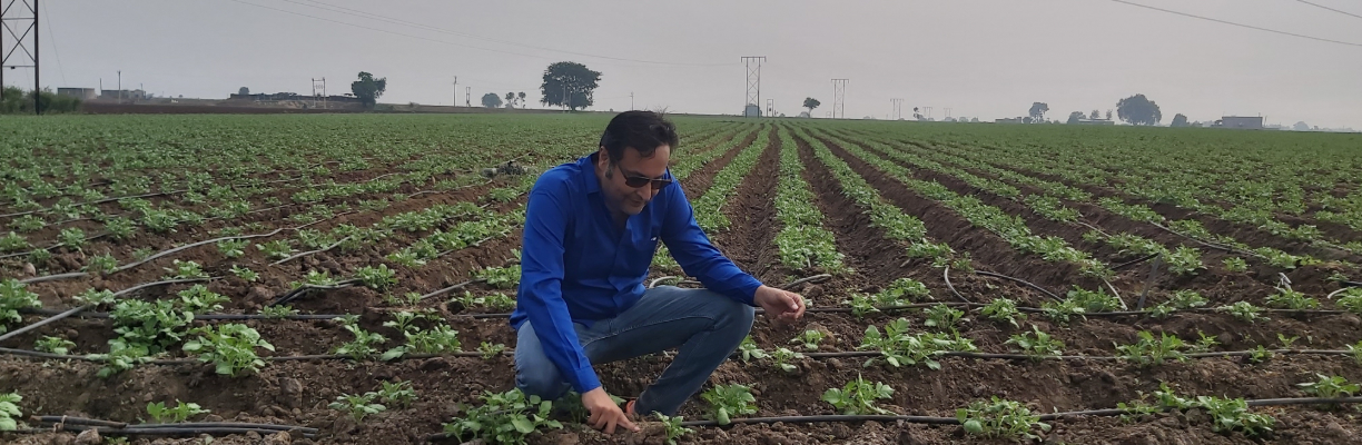 Providing a suite of digital services for enhanced farm productivity