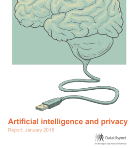 Artificial Intelligence and Privacy