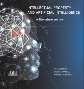 Intellectual Property and AI