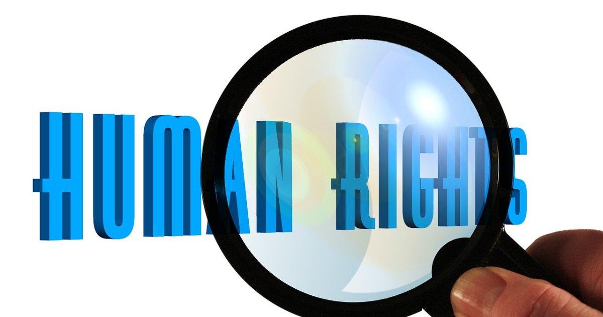 EU issues report warning of AI’s impact on human rights