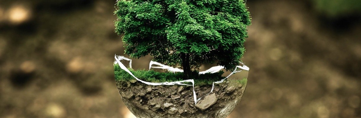 Five use cases to show that AI is promoting sustainable development in ...