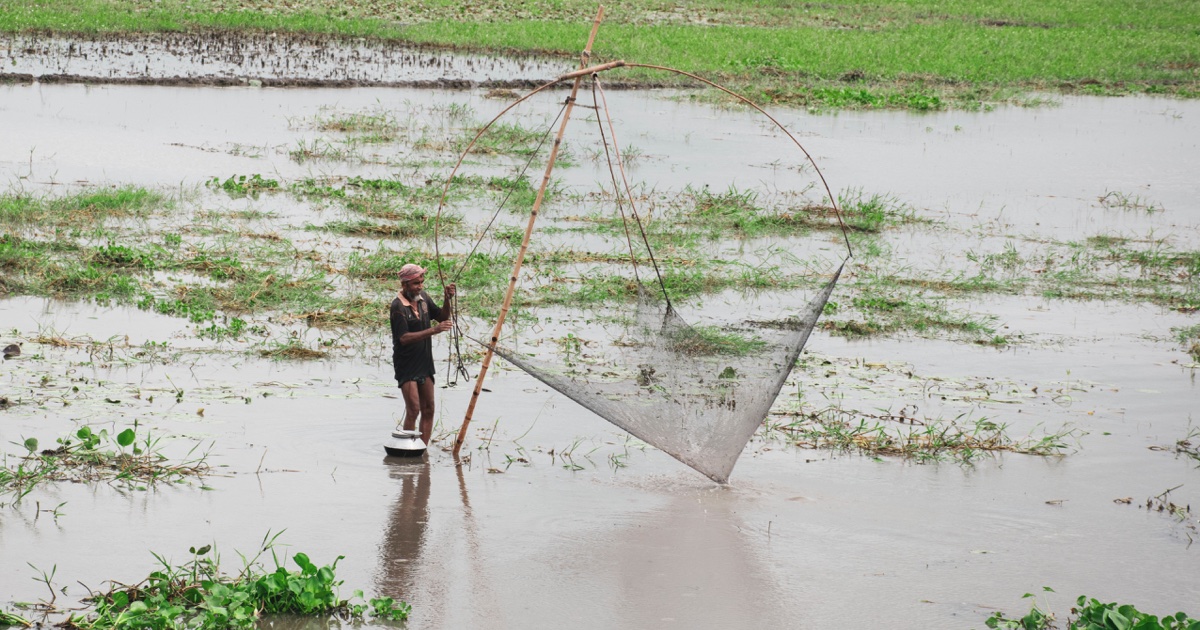 How AI and Aquaculture create a healthier and prosperous fishing ecosystem