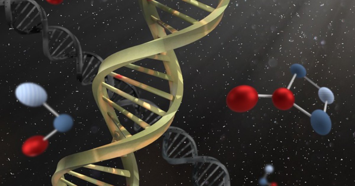 Stanford sets a world-record-setting DNA sequencing technique using AI