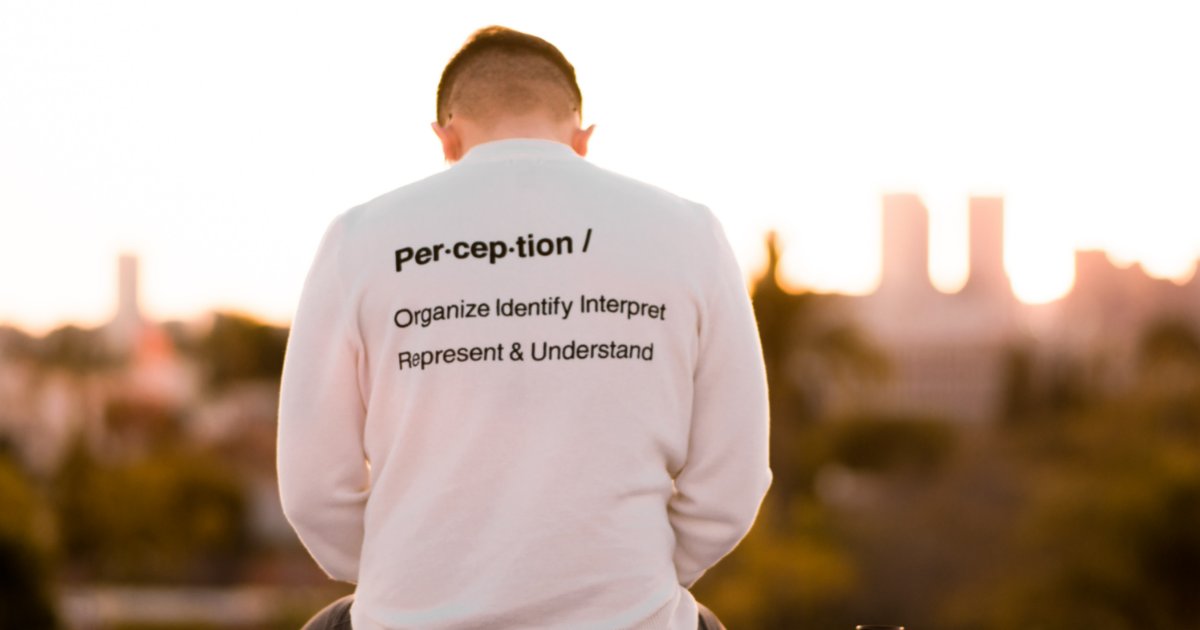 Understanding The Significance Of Perception In AI