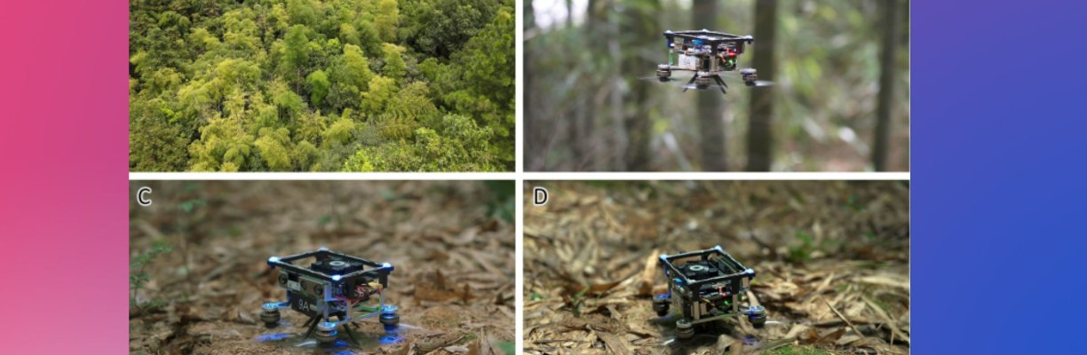 Autonomous aerial robots to fly in the wild