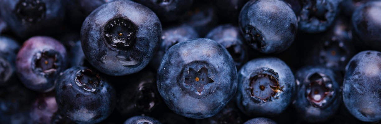 Exploring Blue Brain Project : The world's first artificial brain