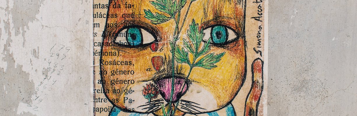 Language Clustering Sign Language Recognition And Cross Lingual Transfer