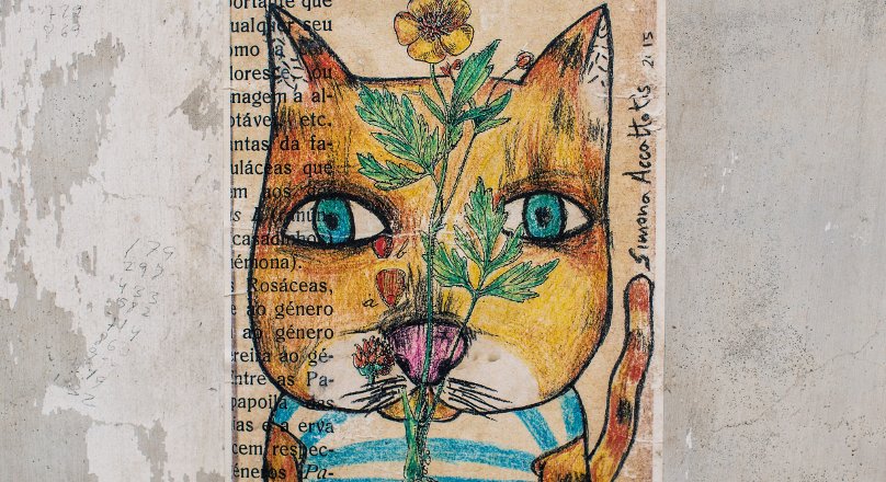 Language Clustering Sign Language Recognition And Cross Lingual Transfer