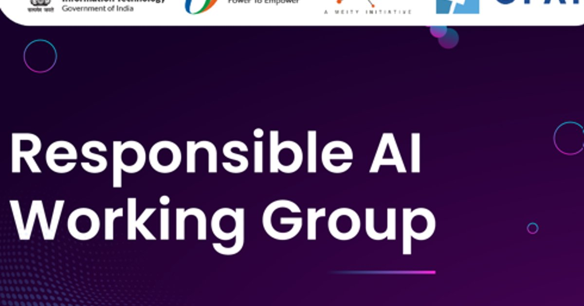 Findings of the Working Group on Responsible AI (RAI)