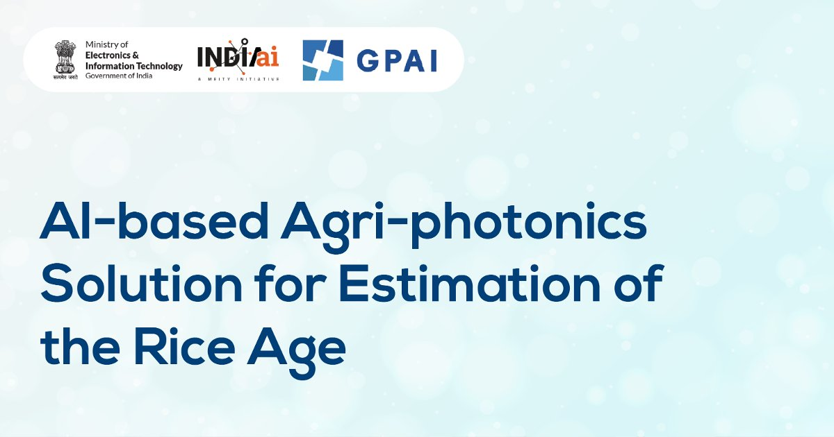 AI-based rice age sensing using colorimetric technique
