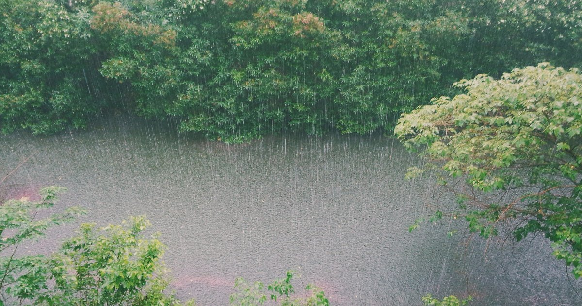 Monsoon mastery: How AI enhances south Asian rainfall forecasts