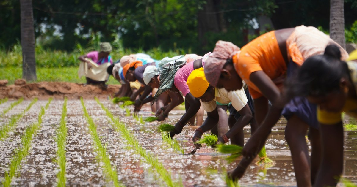 DD Kisan unveils multilingual AI anchors Krish and Bhoomi in 50 languages