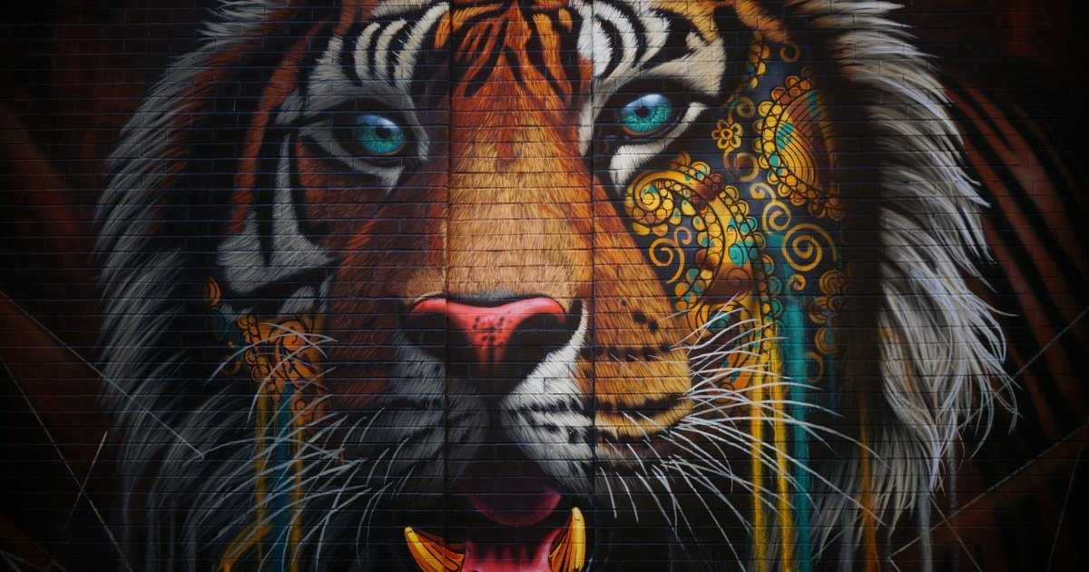 Exploring Mojo: The new frontier in AI programming