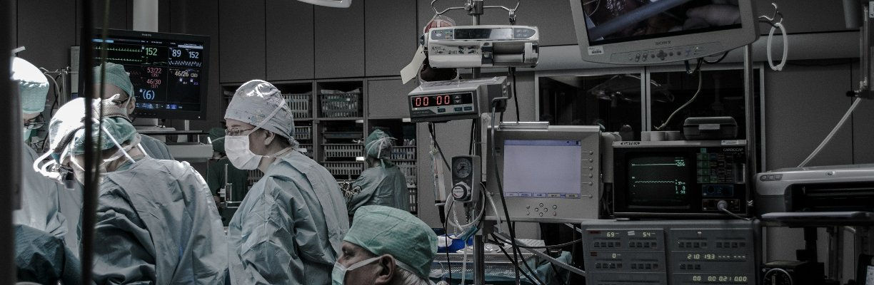 White Blood Cell Image Classification Using Deep Learning with ...