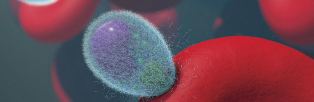 Performance Analysis of Deep Learning Algorithms in the Diagnosis of ...