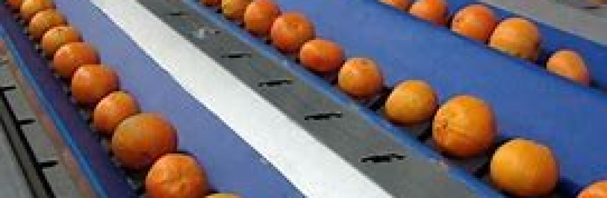 Automated Post-Harvest Quality Grading and Sorting Systems: A ...